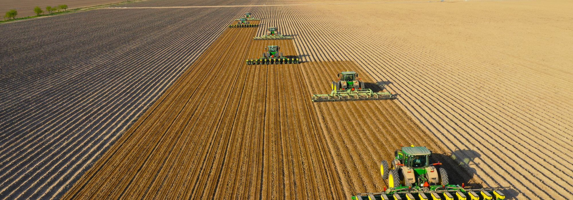 Our Story - Silverleafe Cotton Tracing